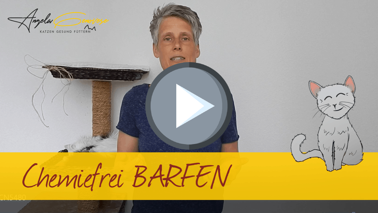 BARF - Synthetische vs. natürliche Supplemente - Chemiefrei